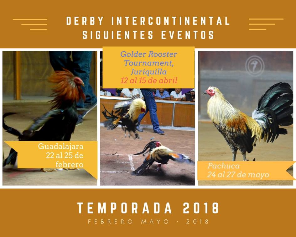 Derby Internacional Golder Rooster 2018 - Nutri Sow - Alta nutrición ...